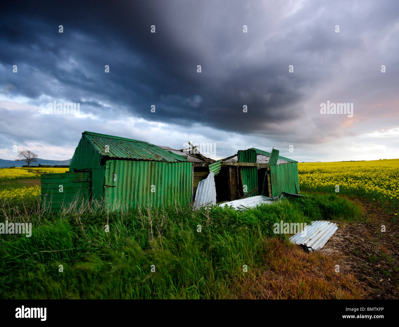 Dilapidated corrugated iron shed in a storm near Stokesley, North ...