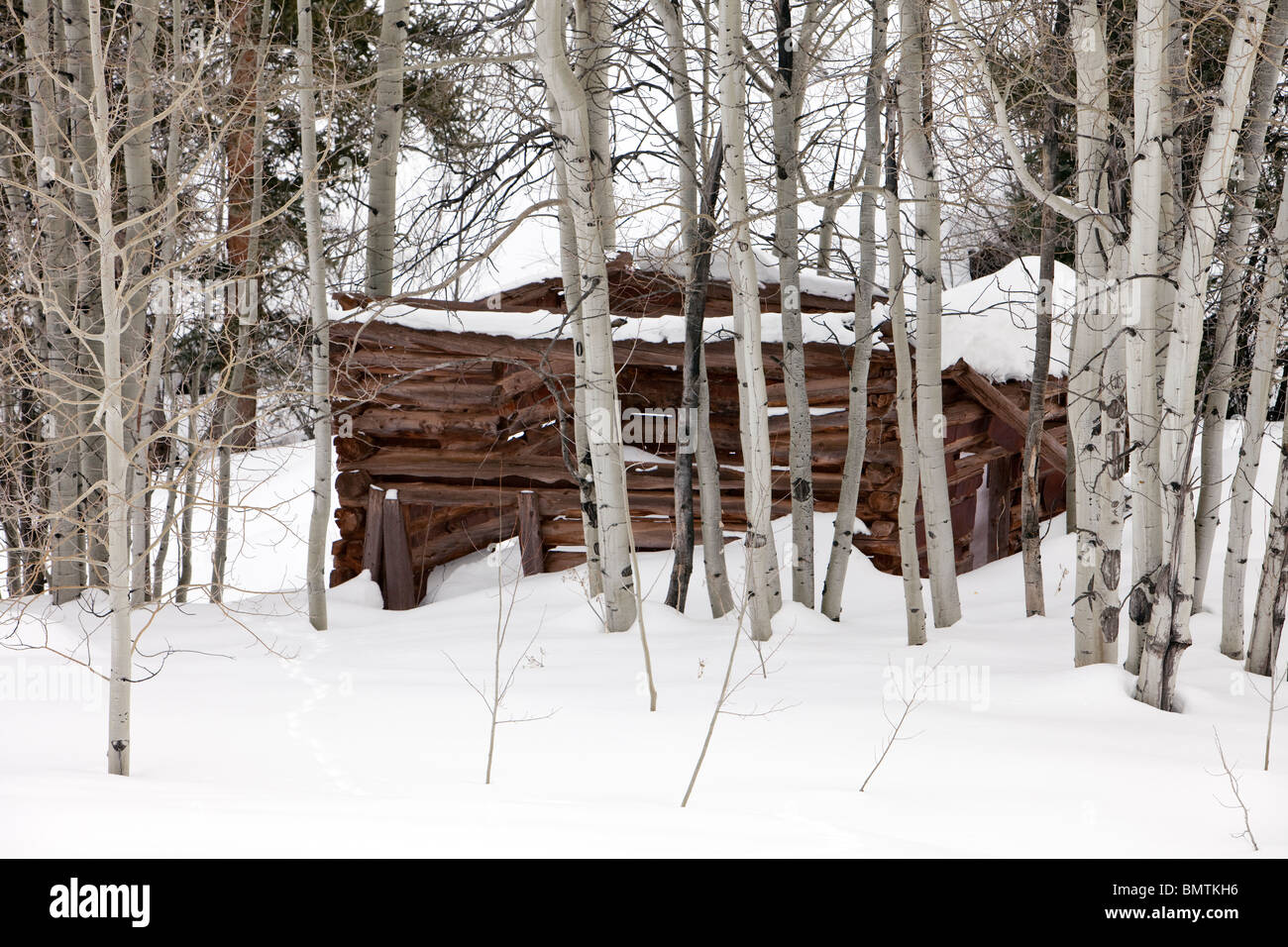 Ghost Cabin In Forest Stock Photo - Alamy