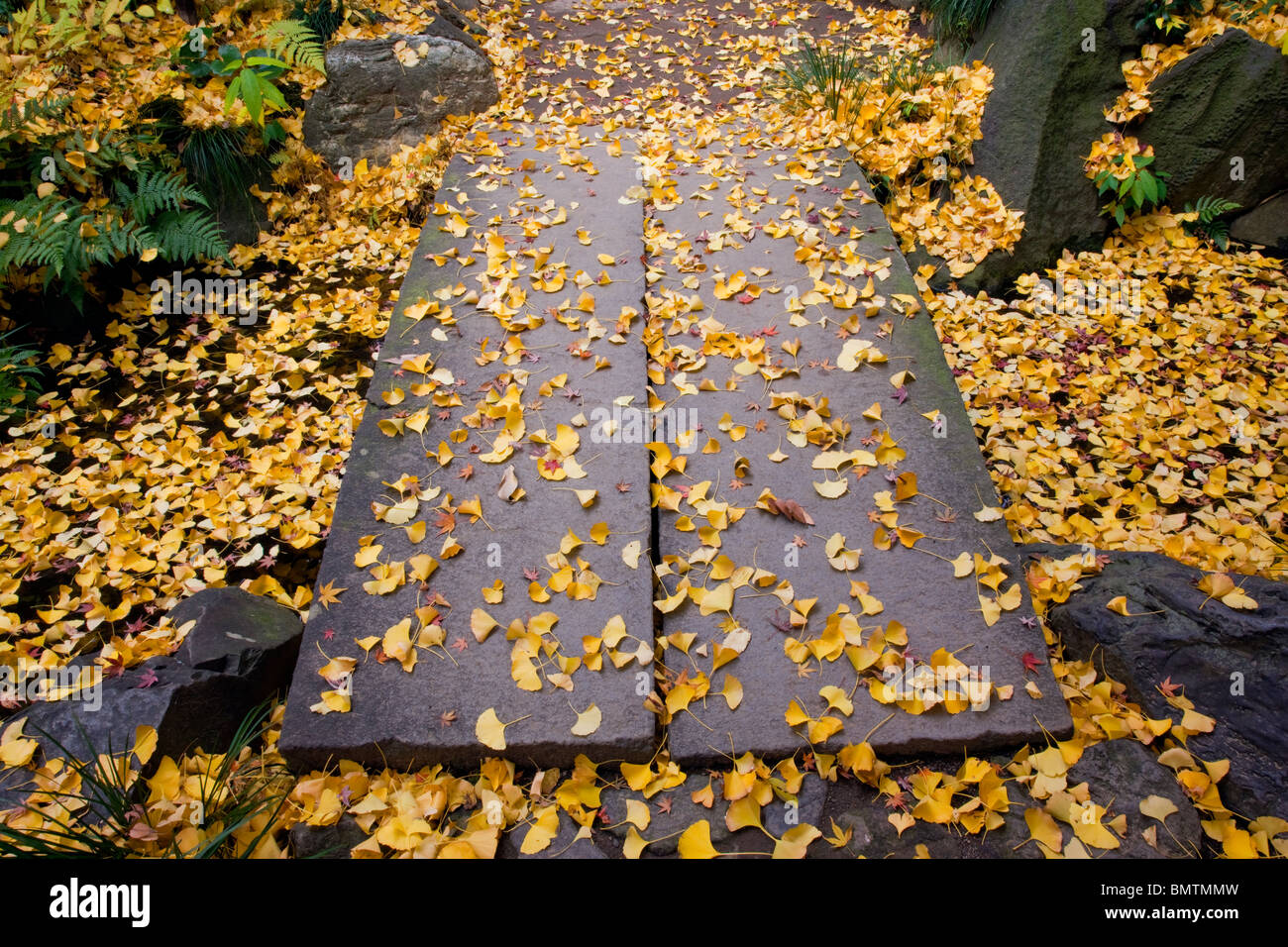 Koishikawa korakuen gardens hi-res stock photography and images - Alamy