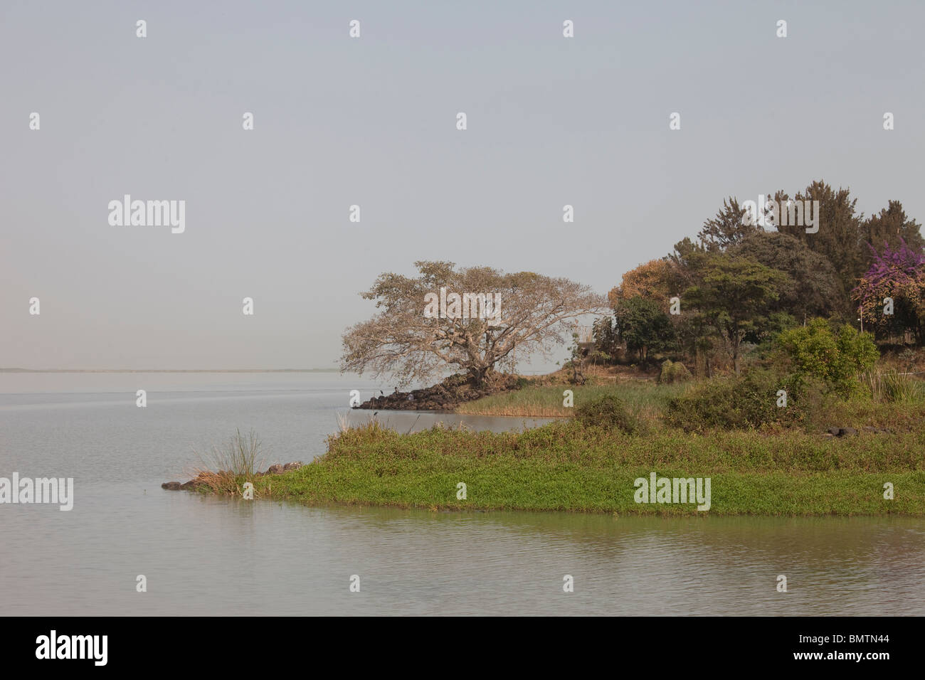 Africa. Ethiopia. Lake Tana Stock Photo - Alamy