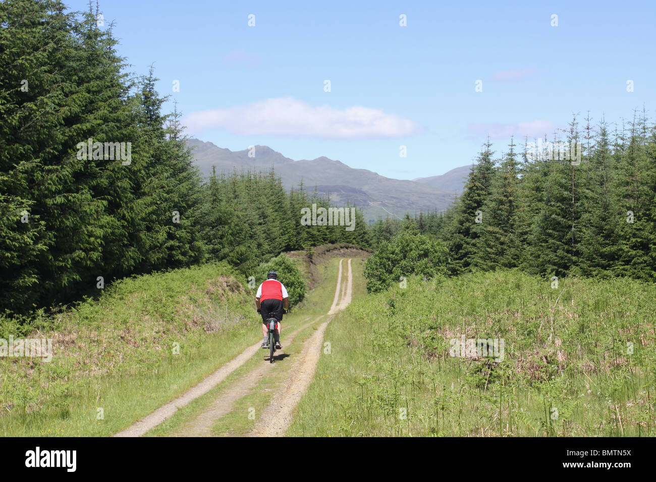 Scottish track cyclist hi-res stock photography and images - Alamy