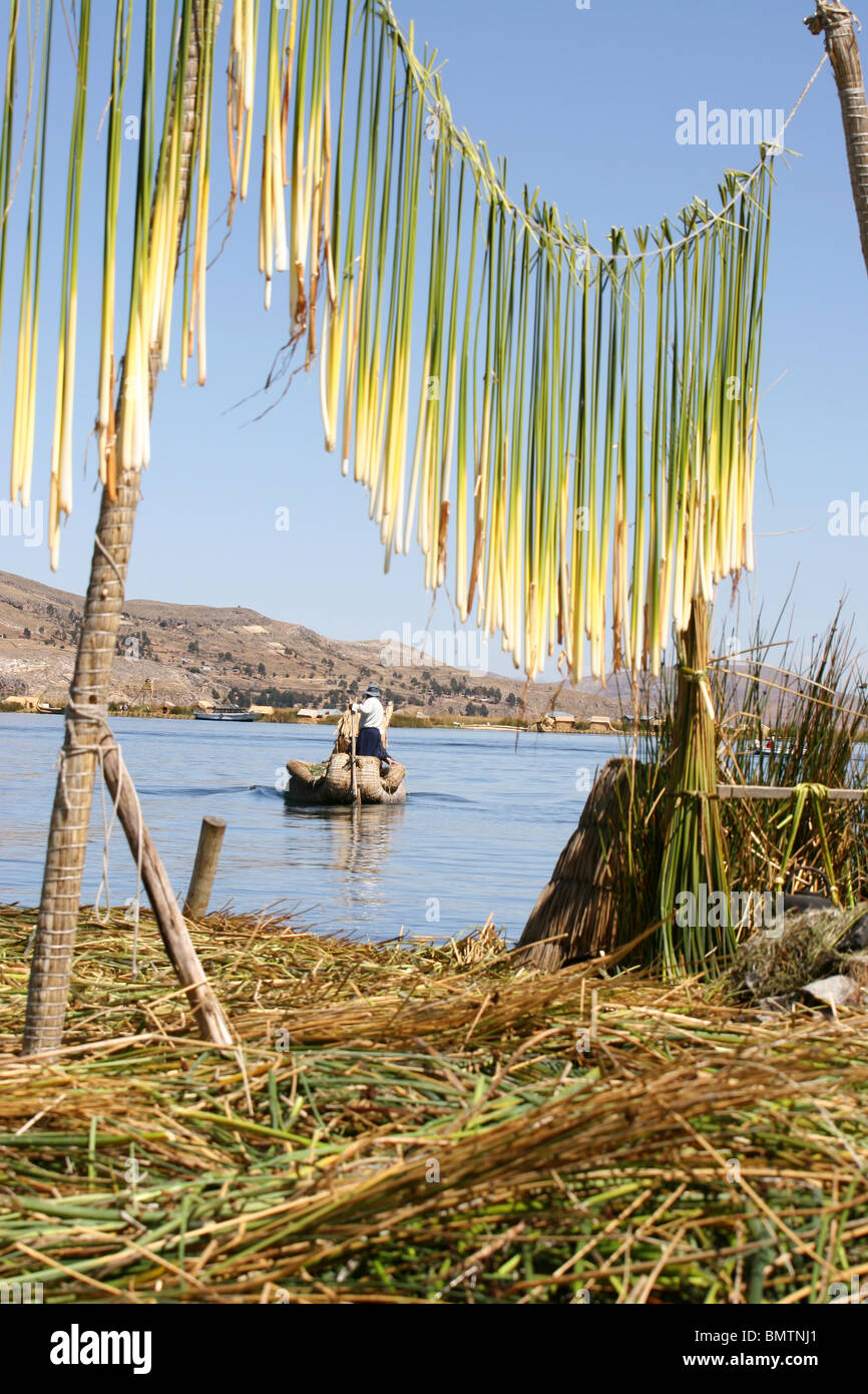 Drying Totora reeds, Uros Islands, the floating islands in Lake ...