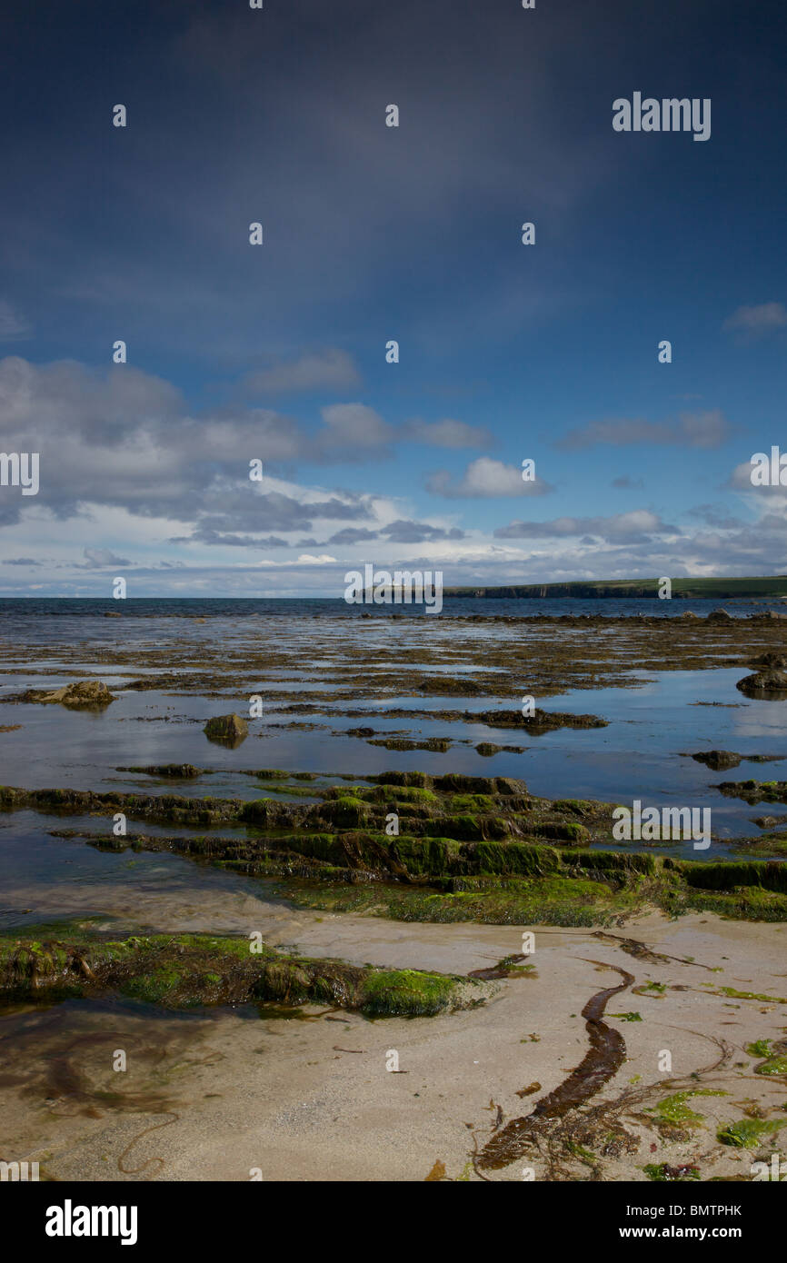 The beach near Wick, Scotland Stock Photo - Alamy