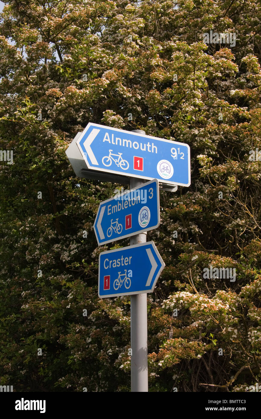 National Cycling Network route 1 sign Stock Photo - Alamy