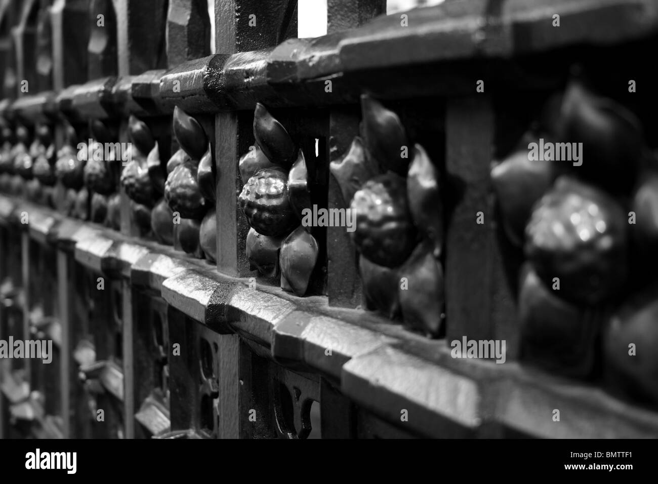 Strong flowers Black and White Stock Photos & Images - Alamy