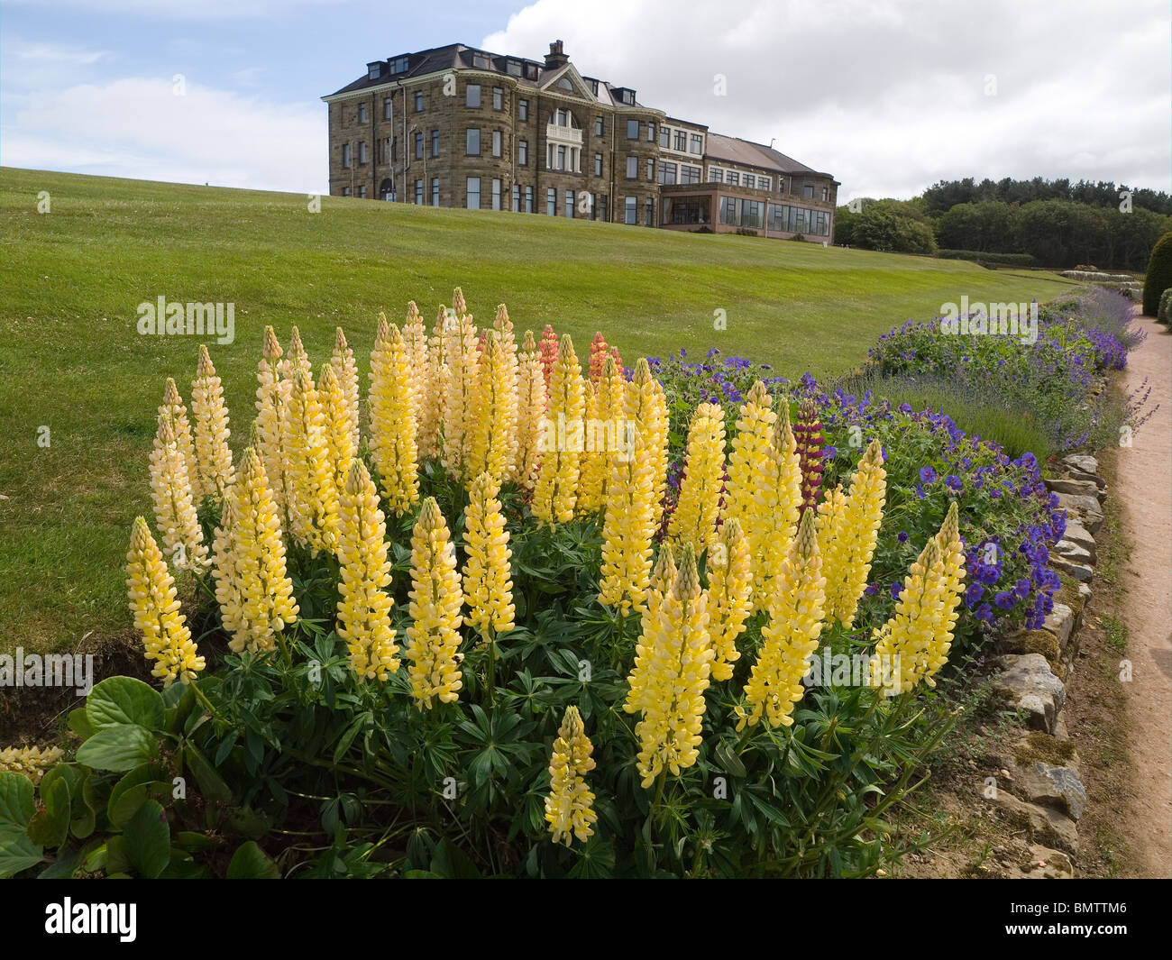 Raven hall hotel ravenscar hi-res stock photography and images - Alamy
