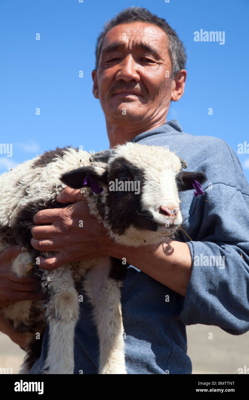 Shepherd Sheep Carry High Resolution Stock Photography and Images - Alamy