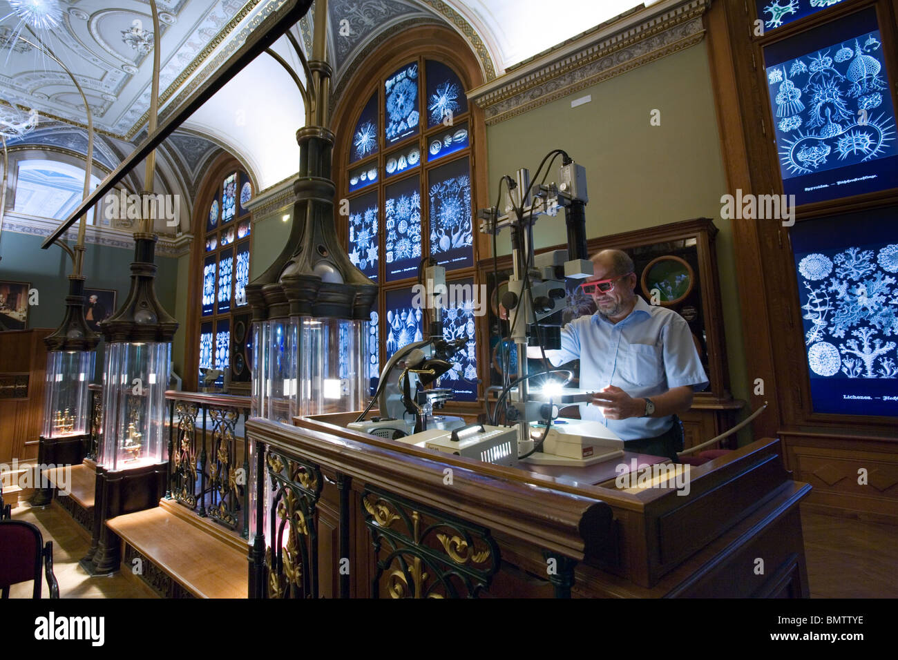Natural History Museum, Vienna, Austria Stock Photo - Alamy