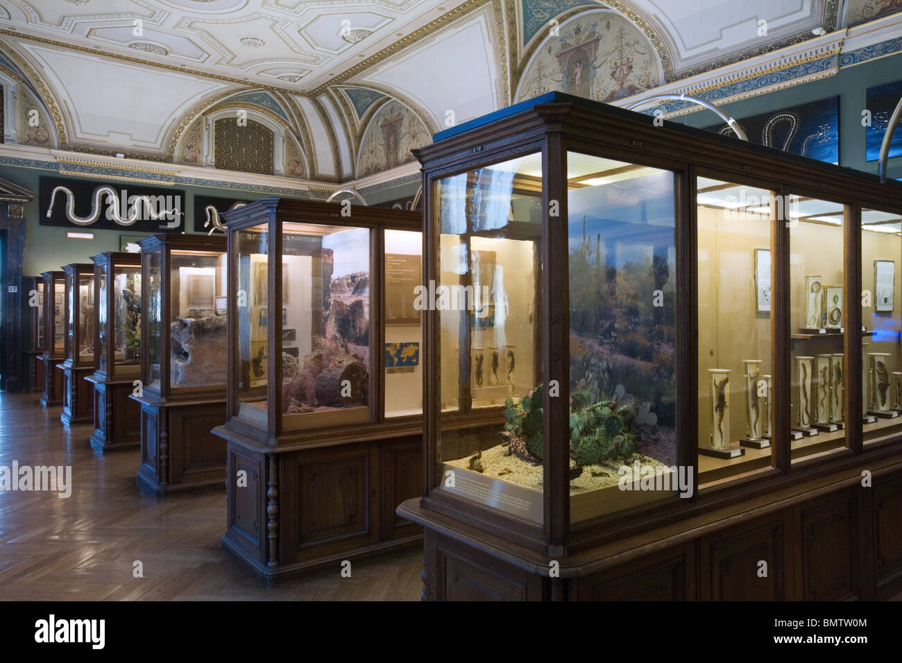 Natural History Museum, Vienna, Austria Stock Photo - Alamy