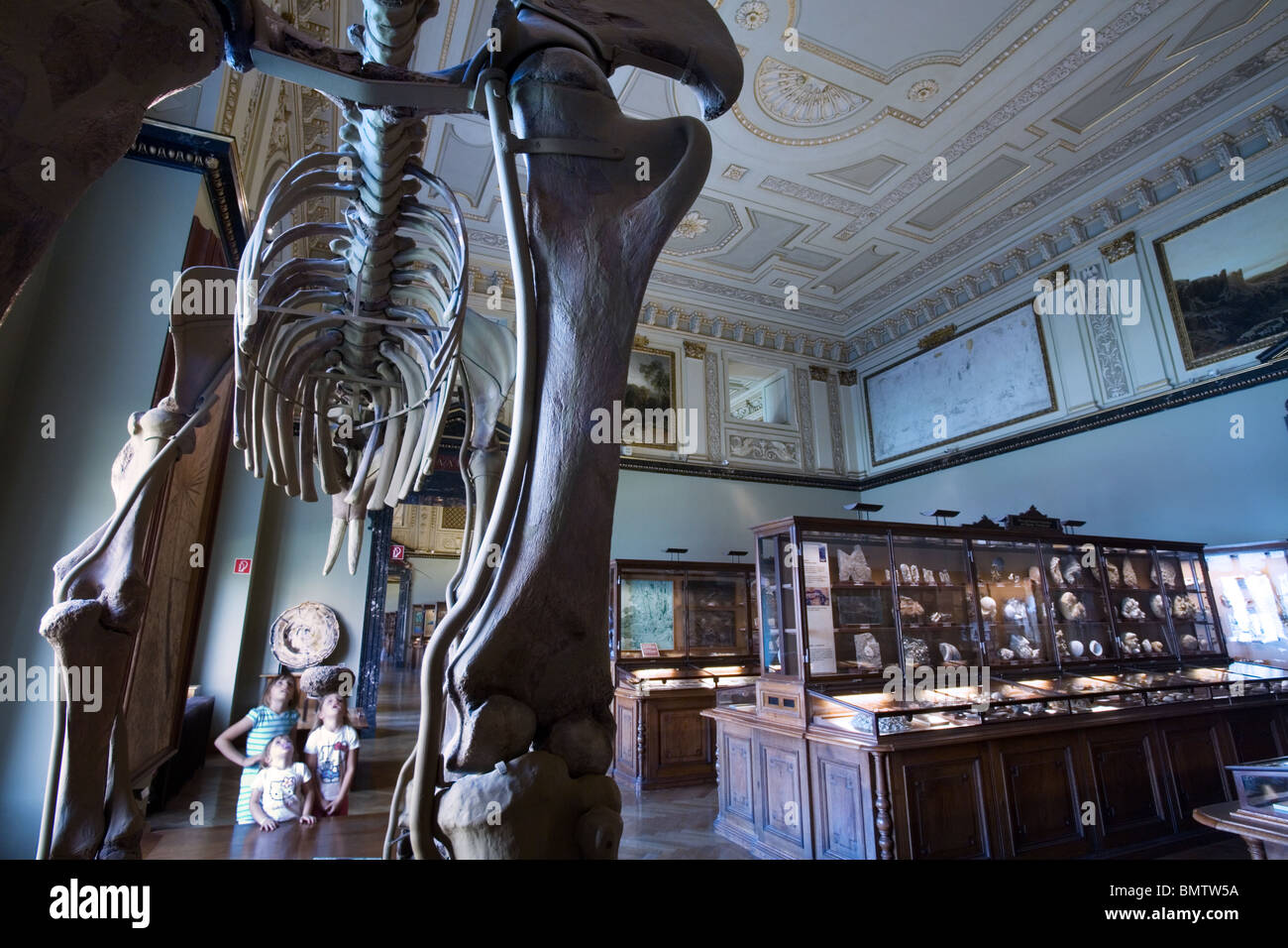 Natural History Museum, Vienna, Austria Stock Photo - Alamy