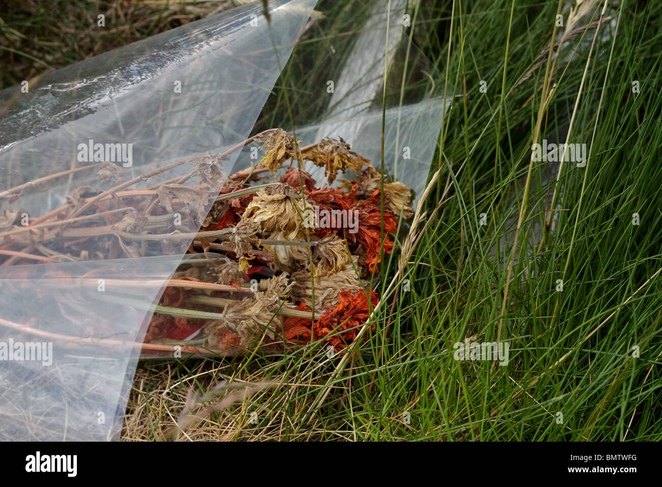Decaying flower hi-res stock photography and images - Alamy