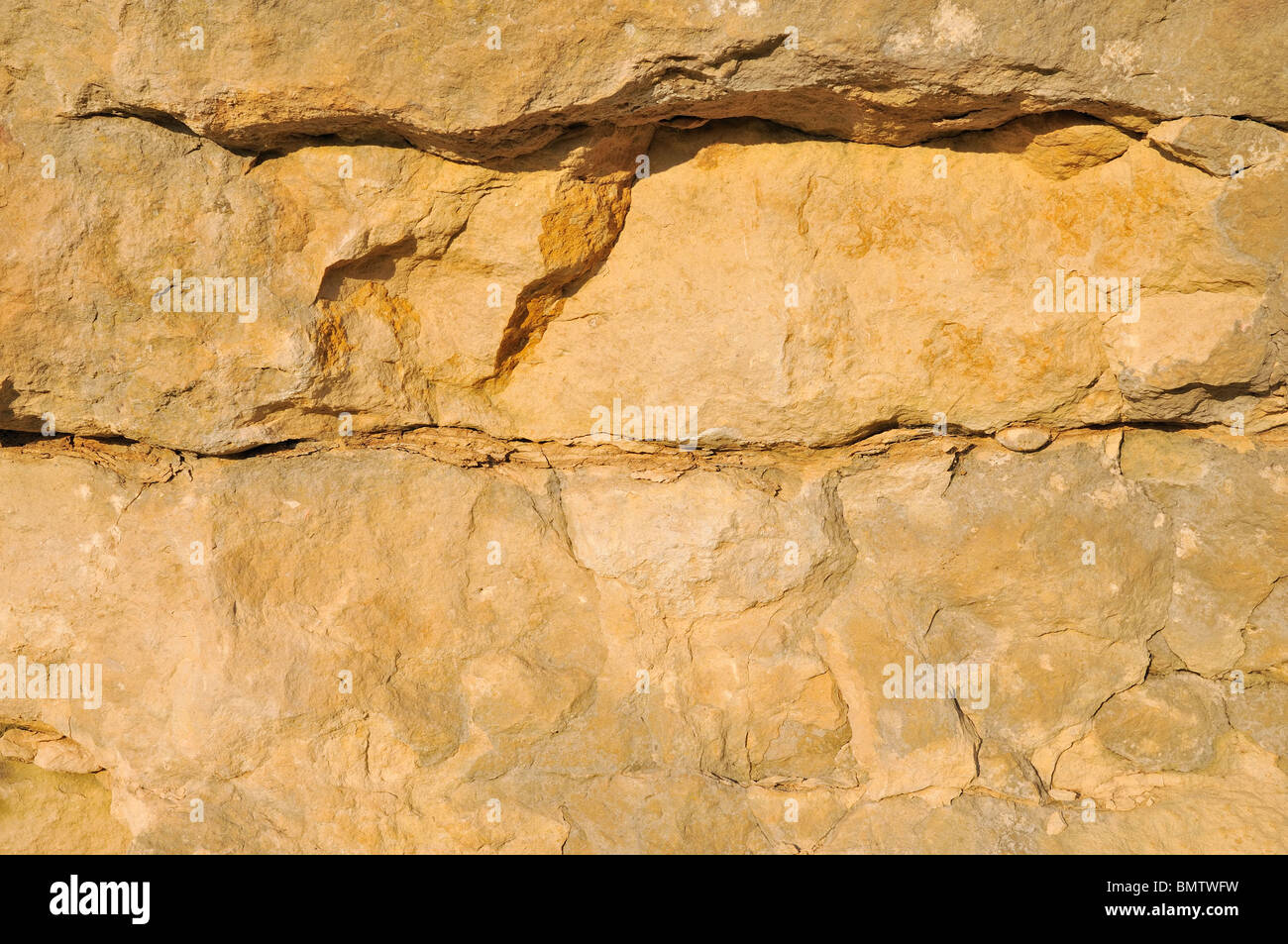 Detail closeup of Cotswold Limestone Rock Stock Photo - Alamy