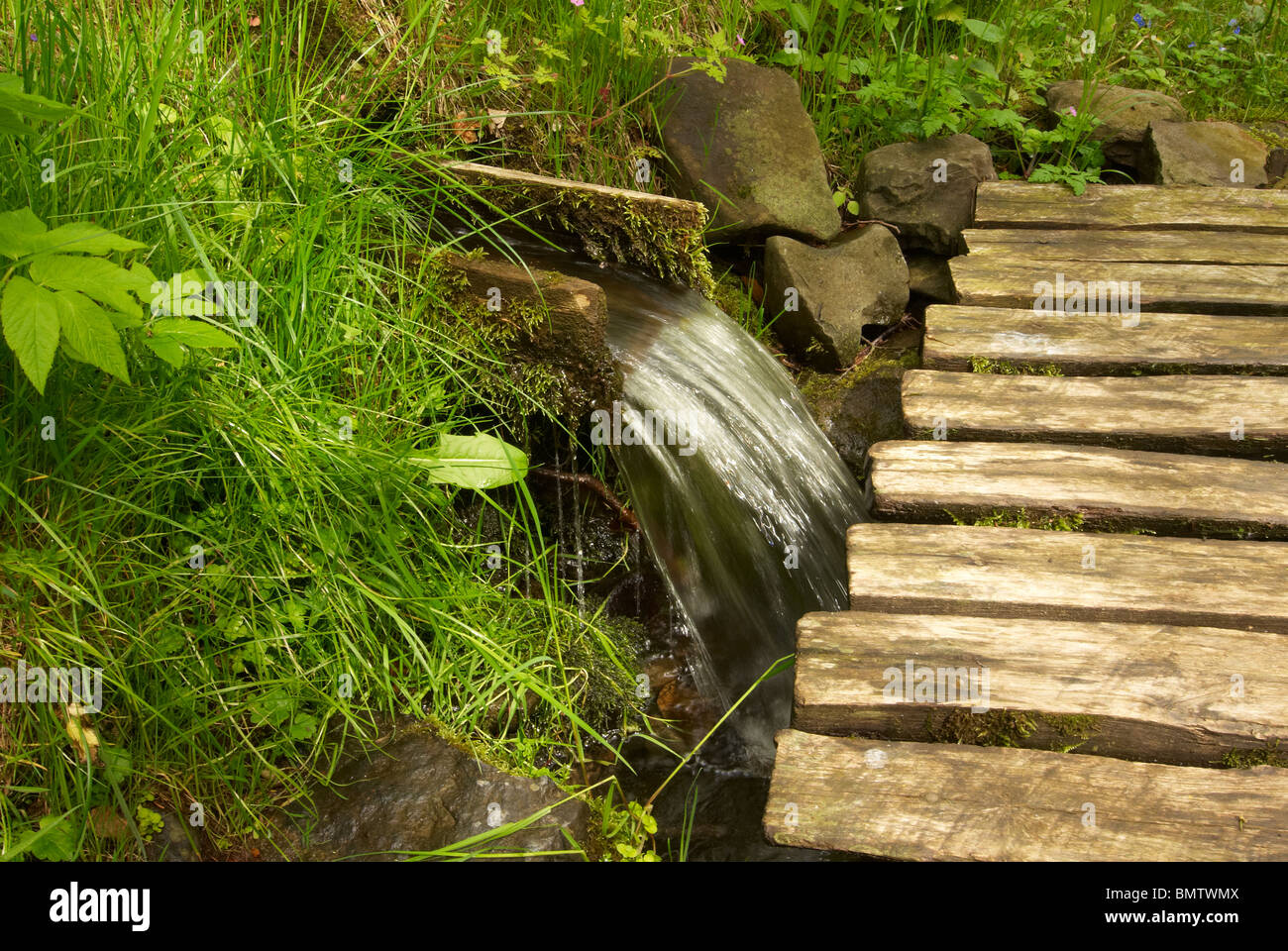 Stream flowing through forest Stock Photo - Alamy