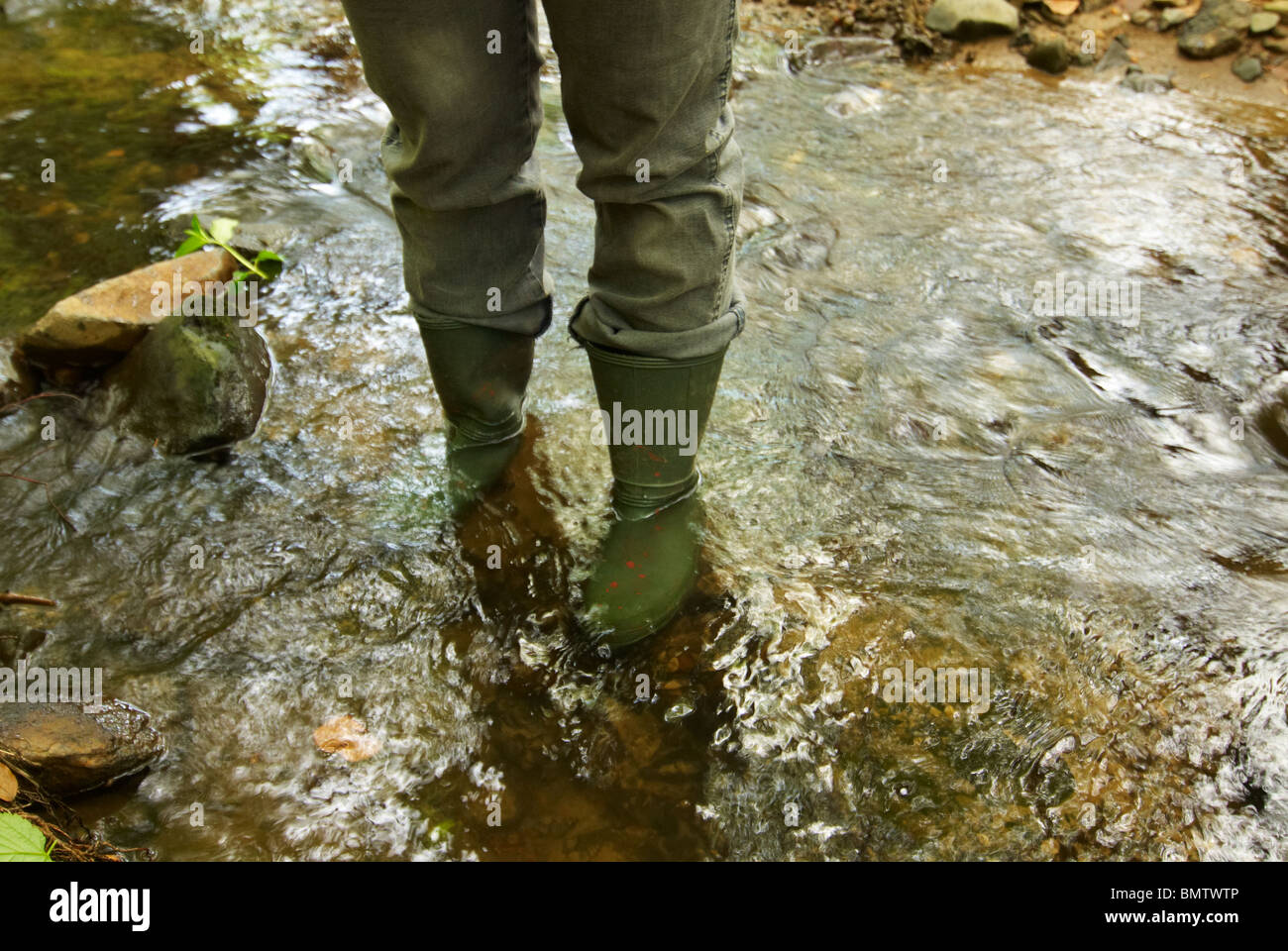 Stream flowing through forest - woman standing in brook with wellington ...