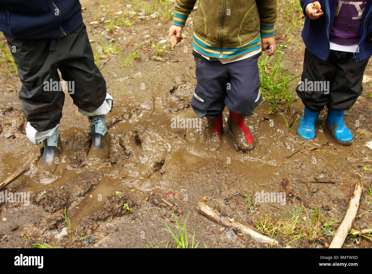 Children exploring in forest - boys playing outdoors Stock Photo - Alamy