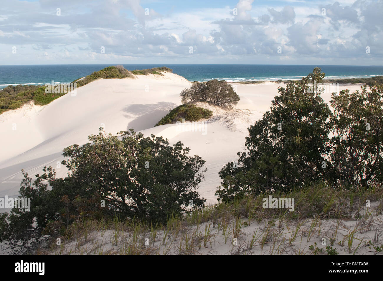 Coastal sand dunes, Moreton Island, Queensland, Australia Stock Photo ...