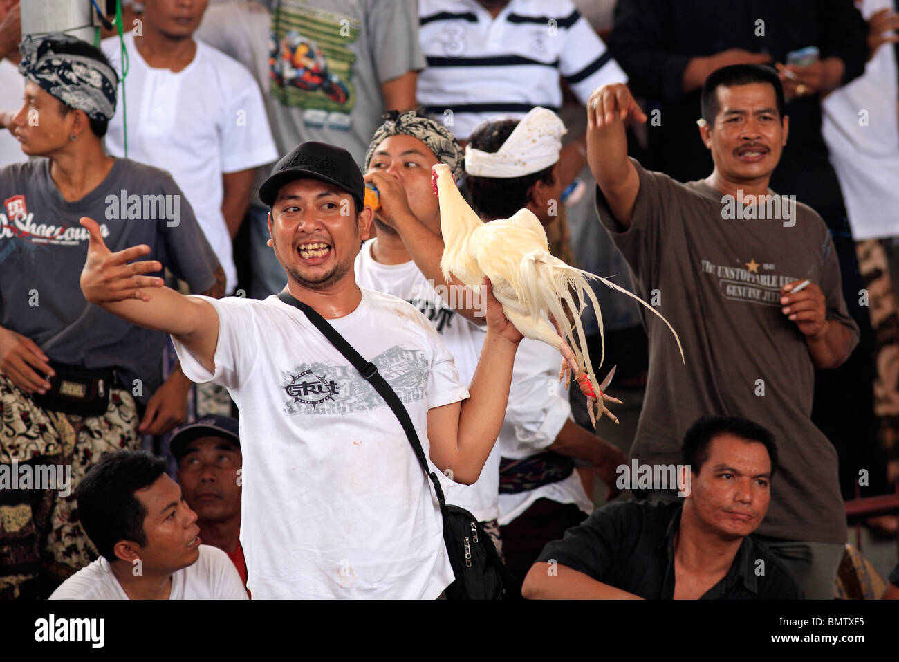 Promoter at a cockfighting arena, known as a ‘wantilan’, showing the ...