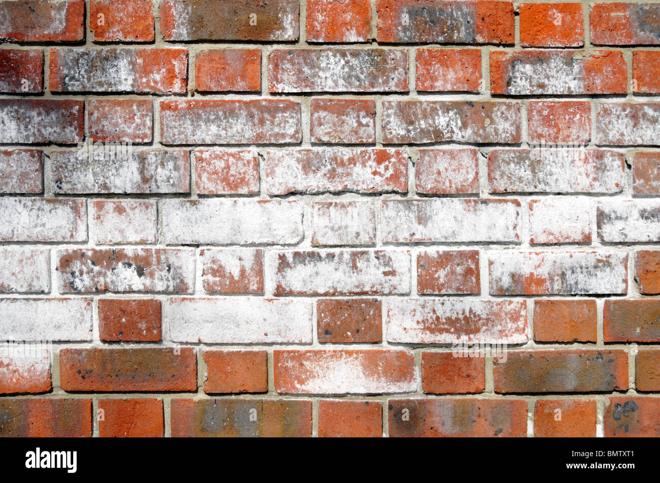 Close up brick wall efflorescence white salt powder disfiguring ...