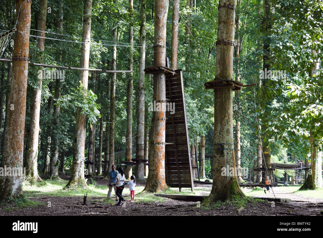 Bali treetop adventure park in bedugul hi-res stock photography and ...