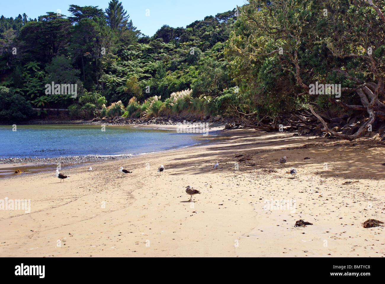 Secluded bay hi-res stock photography and images - Alamy