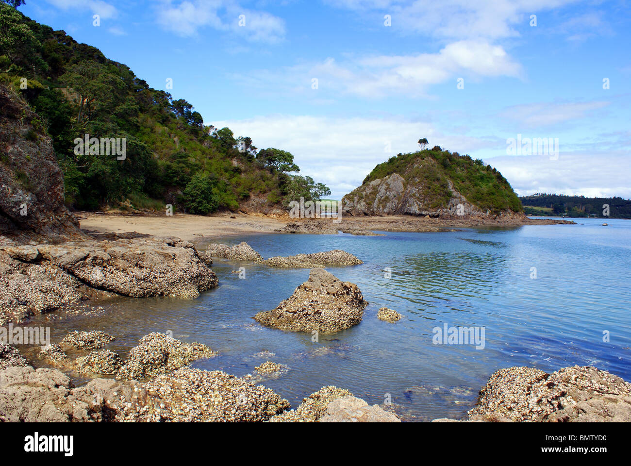 Secluded bay and a small beach in Bay of Islands, New Zealand Stock ...