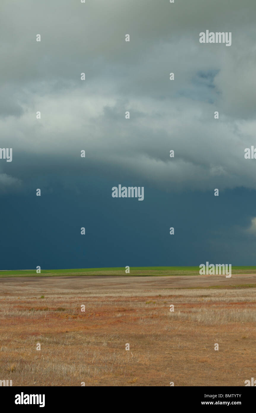 Dryland agriculture hi-res stock photography and images - Alamy