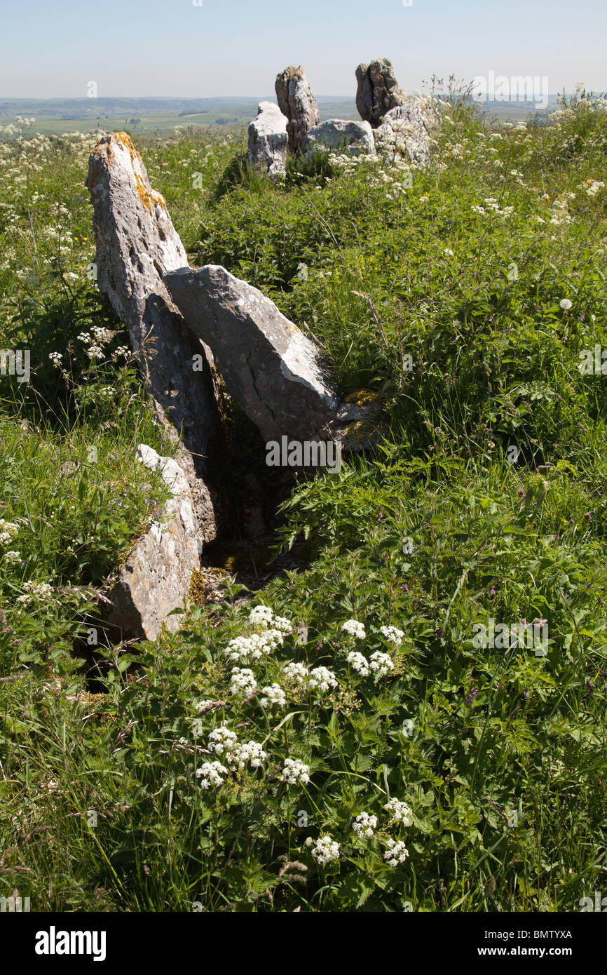 Reputedly the highest megalithic tomb in Britain, Five Wells chambered ...