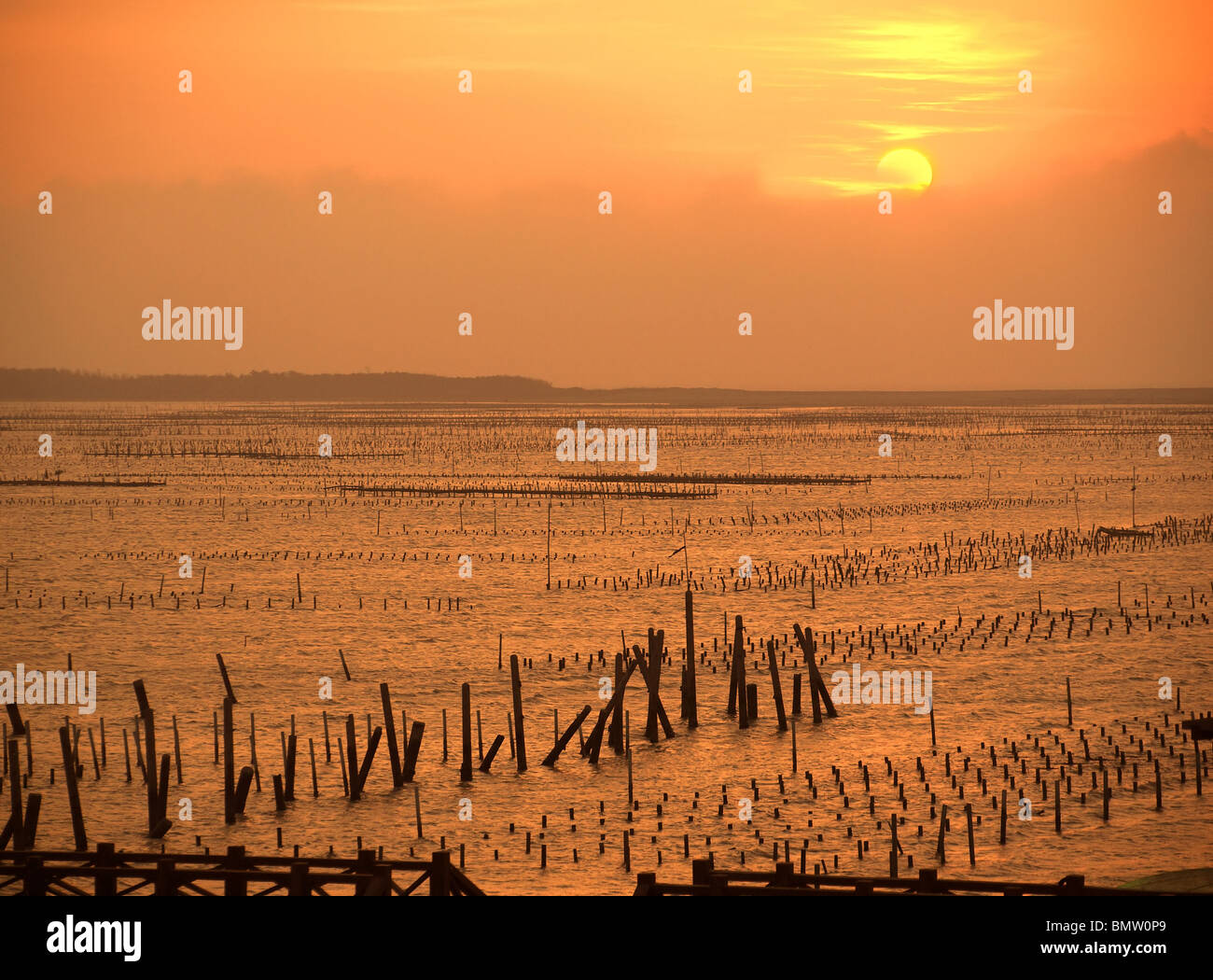 Cigu lagoon hi-res stock photography and images - Alamy
