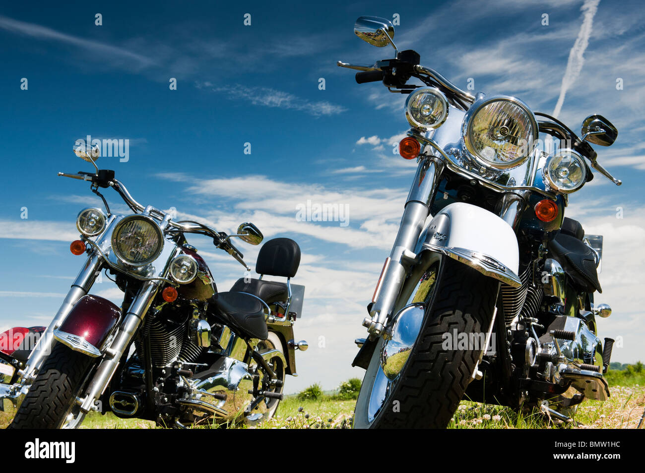 Harley Davidson motorcycles in a field against a bright blue cloudy sky ...