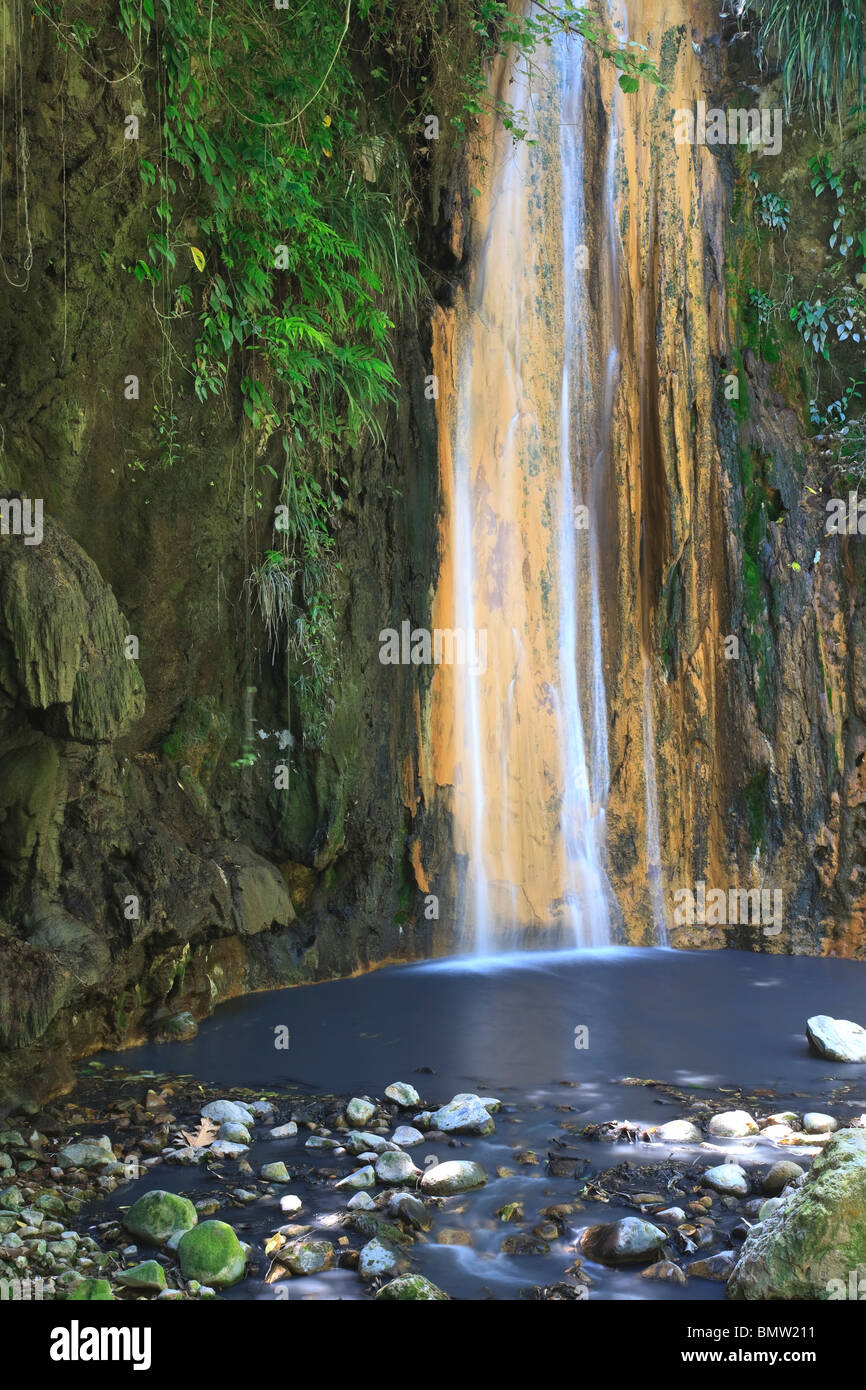 Caribbean, St Lucia, Diamond Botanical Gardens, Diamond Falls Stock ...