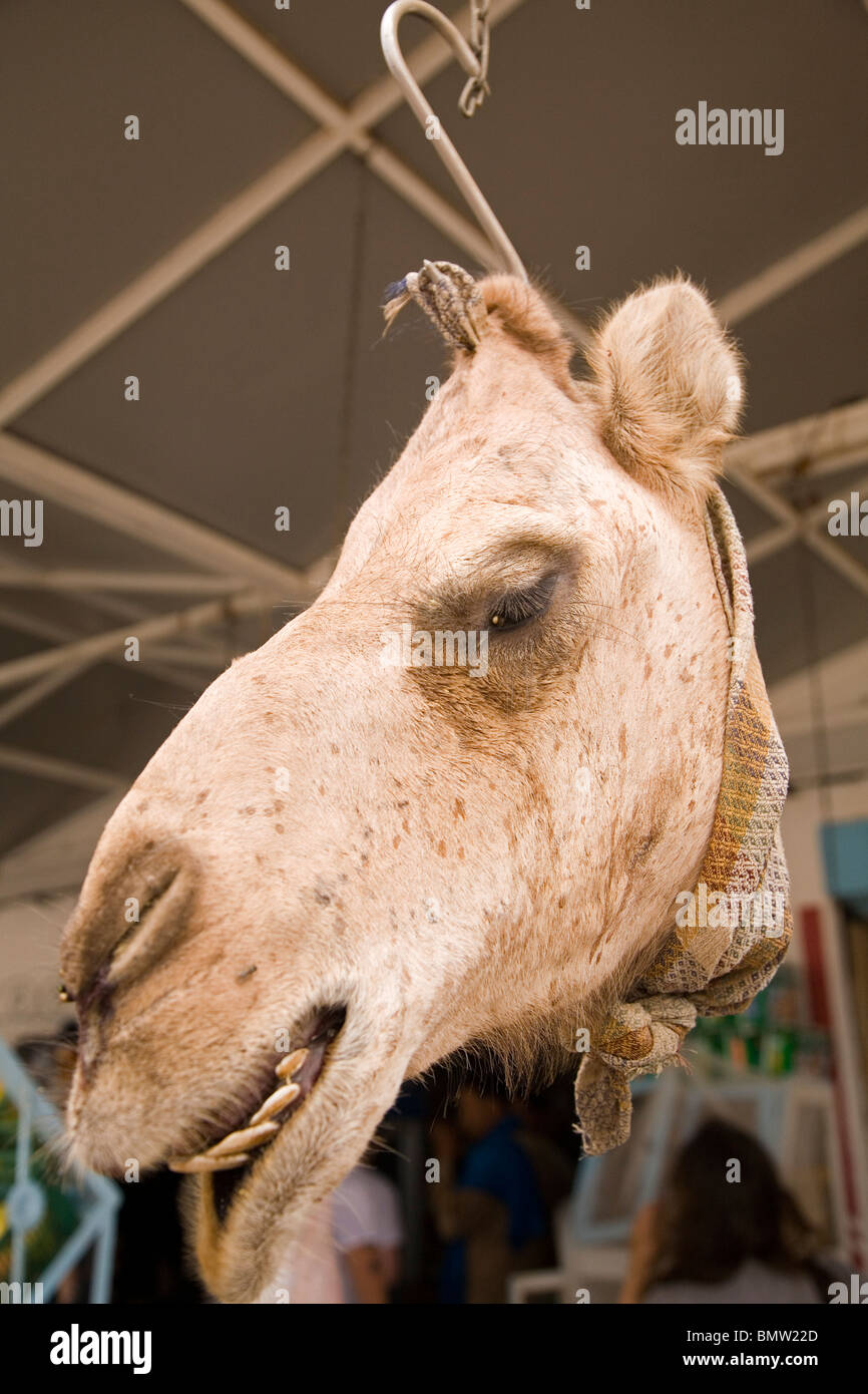 Camel Butchers High Resolution Stock Photography and Images - Alamy
