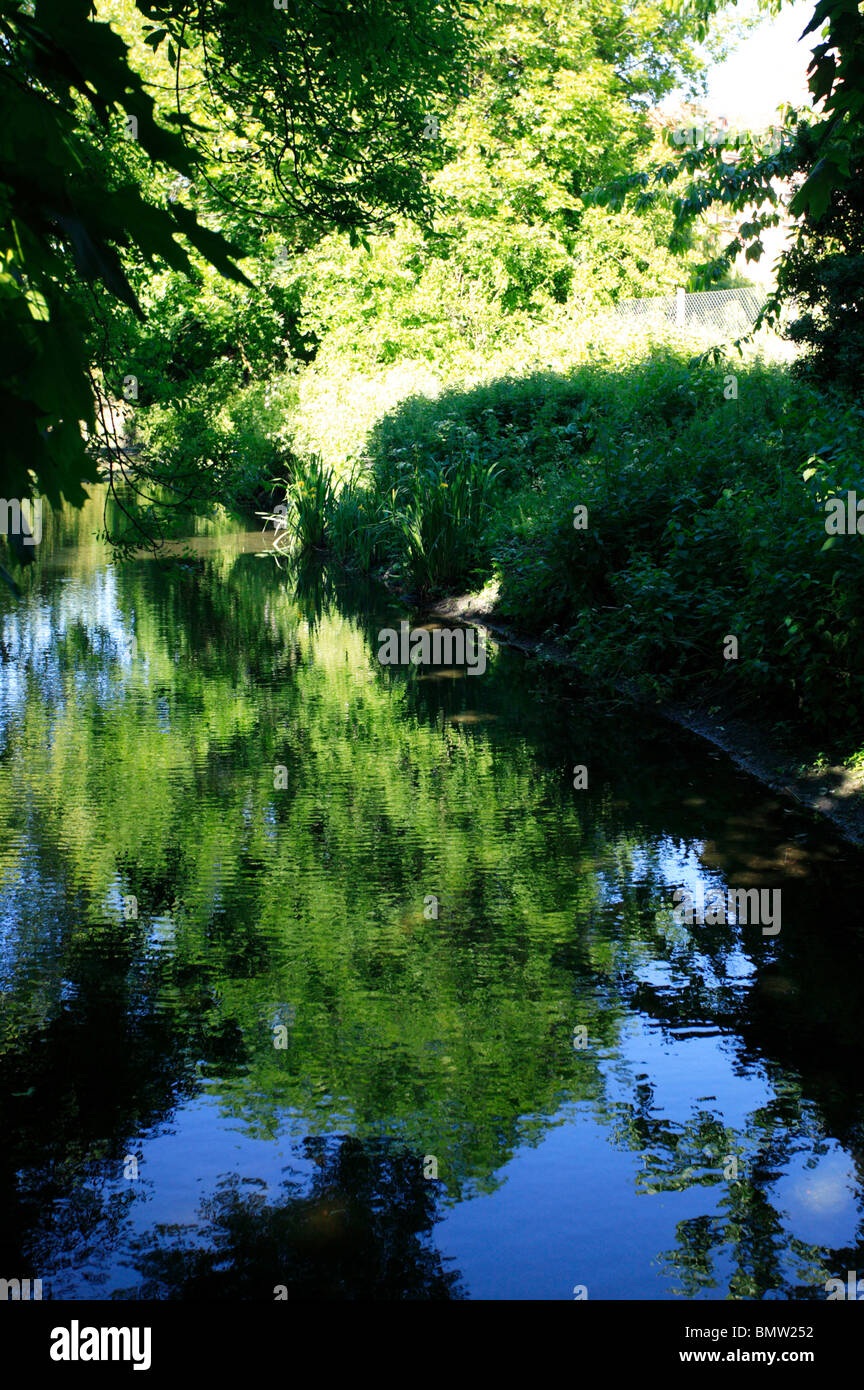 View of the River Ravensbourne, as it passes through Ladywell Fields ...
