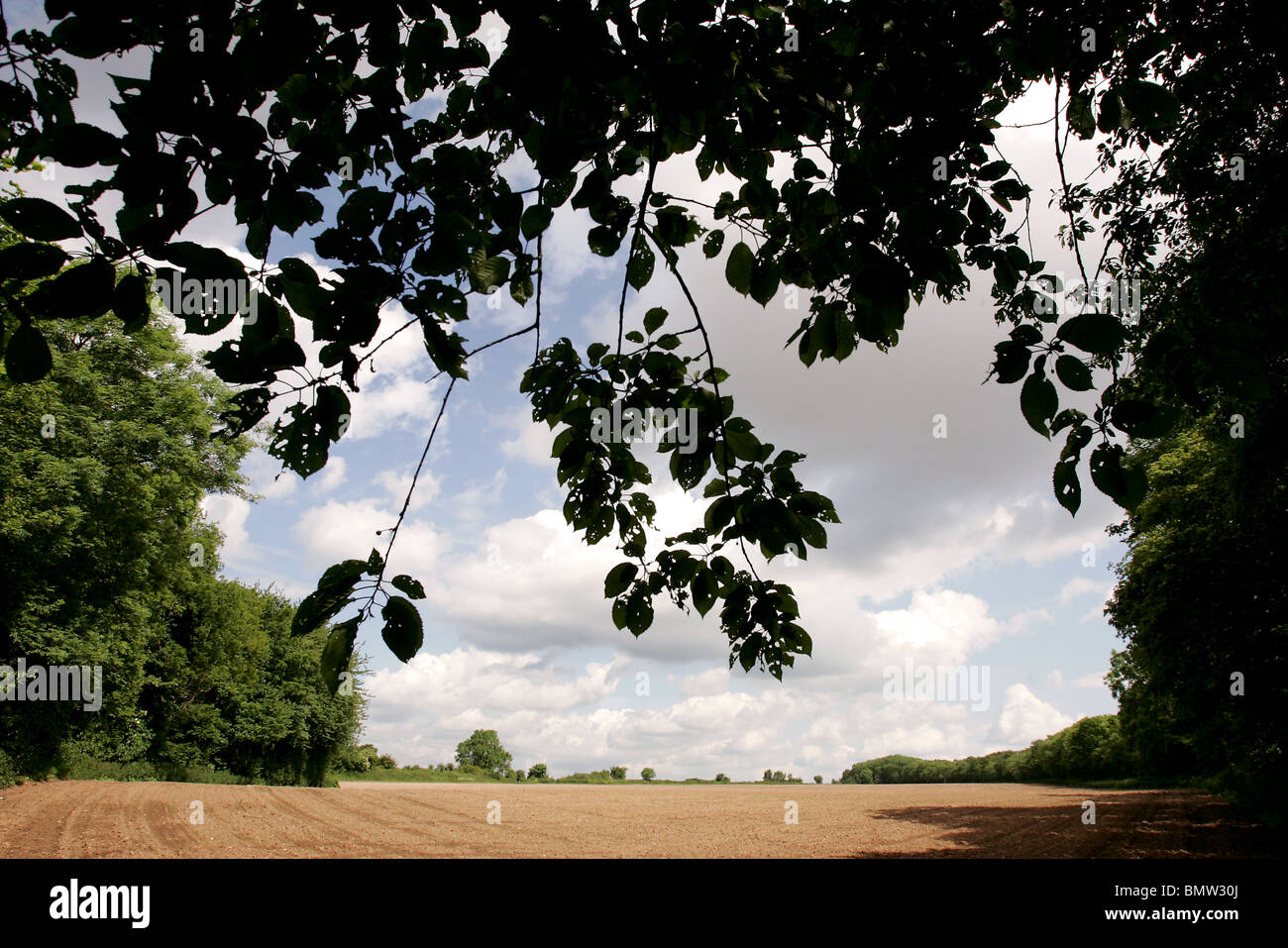 Typical british hi-res stock photography and images - Alamy