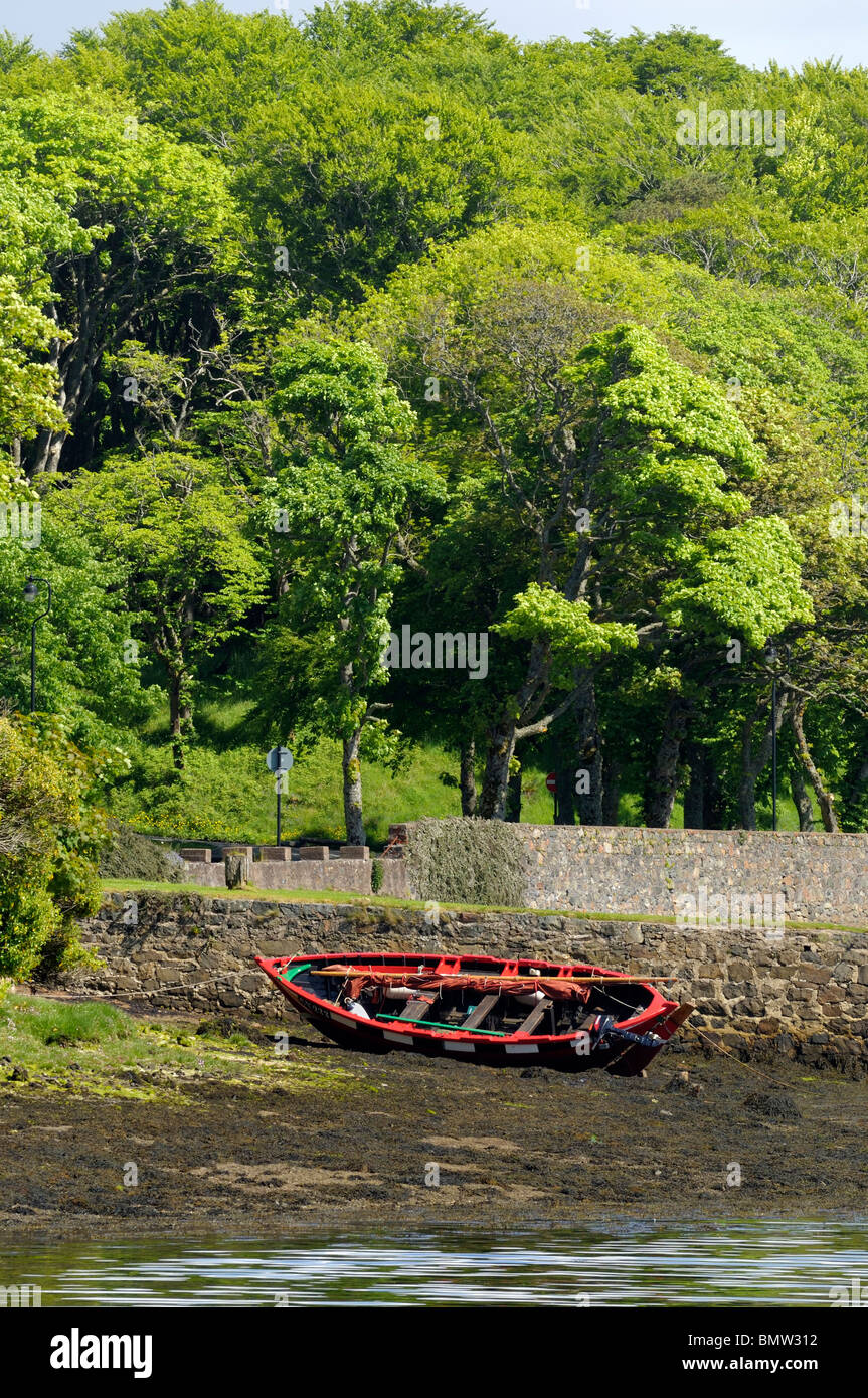 Beached wooden rowing boat near woodland on a river estuary Stock Photo ...