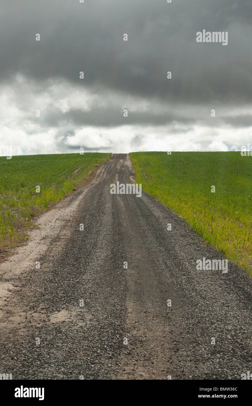 Eastern field hi-res stock photography and images - Alamy