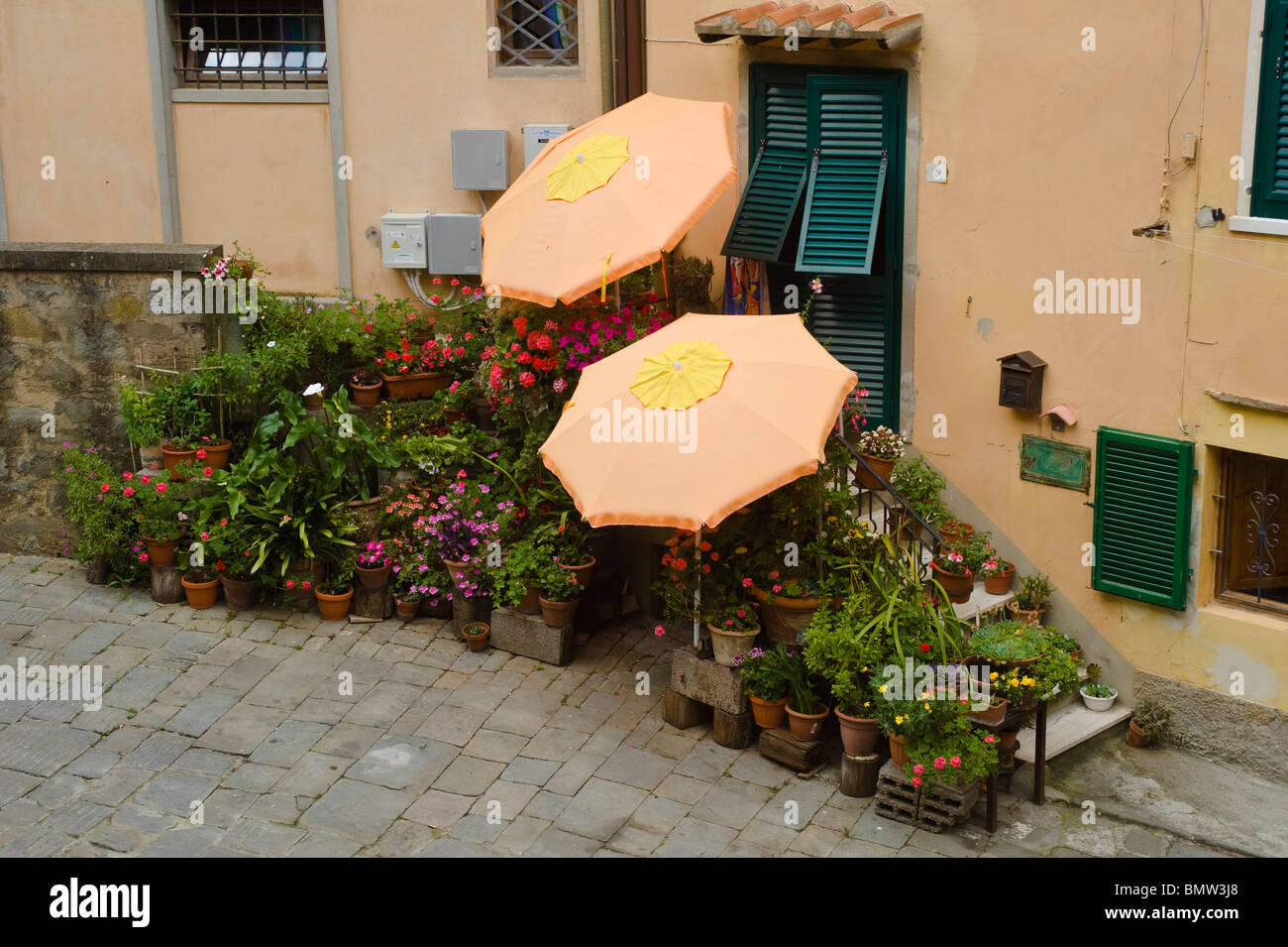 Protect flower hi-res stock photography and images - Alamy