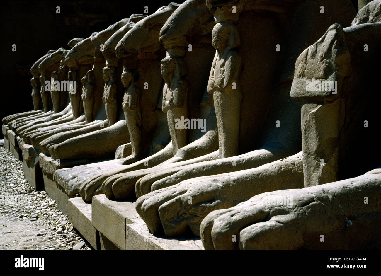 Sphinx position hi-res stock photography and images - Alamy