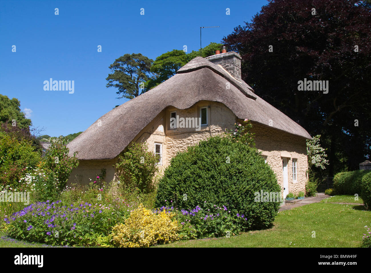 Welsh thatched roof cottage hi-res stock photography and images - Alamy