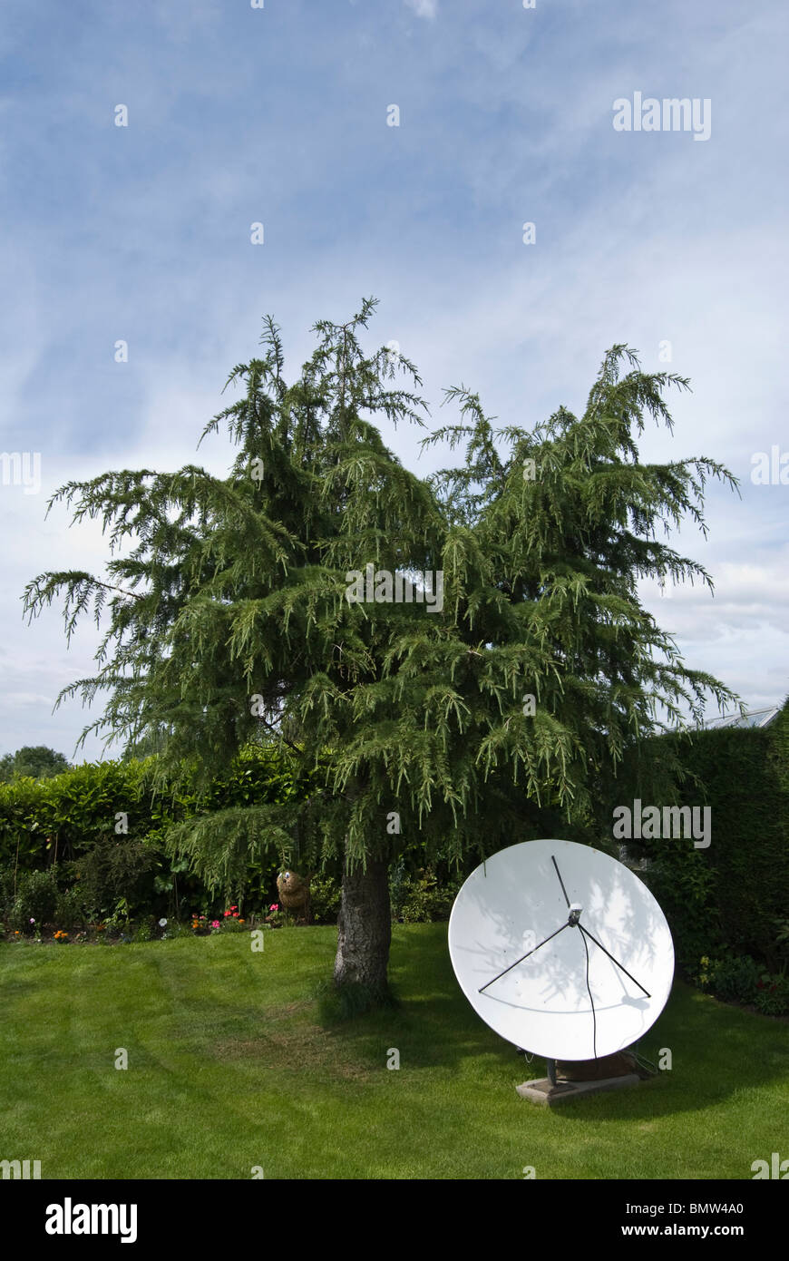 Satellite dish tree hi-res stock photography and images - Alamy