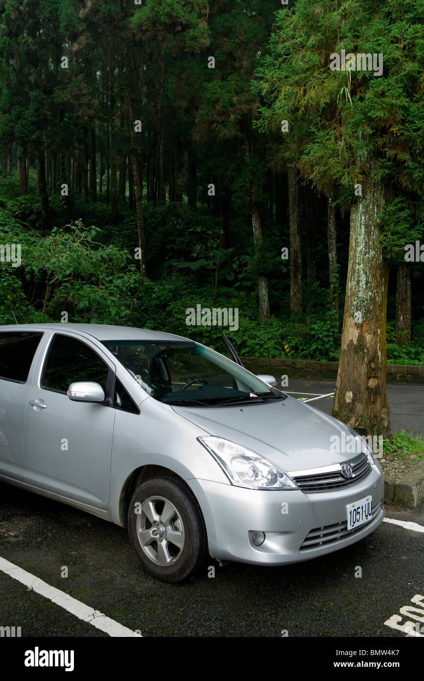 Tree in carpark hi-res stock photography and images - Alamy