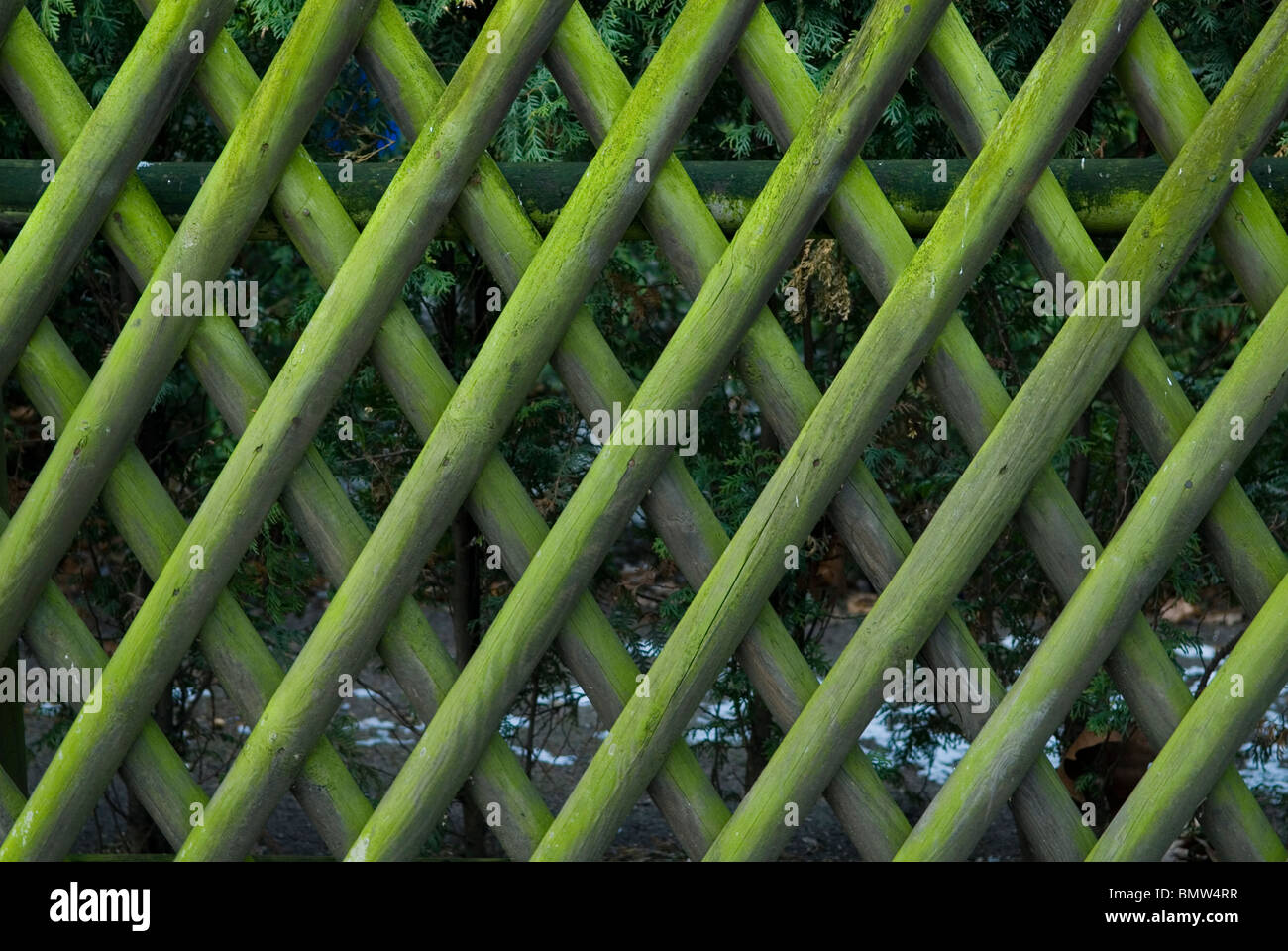 Fence gate hi-res stock photography and images - Alamy