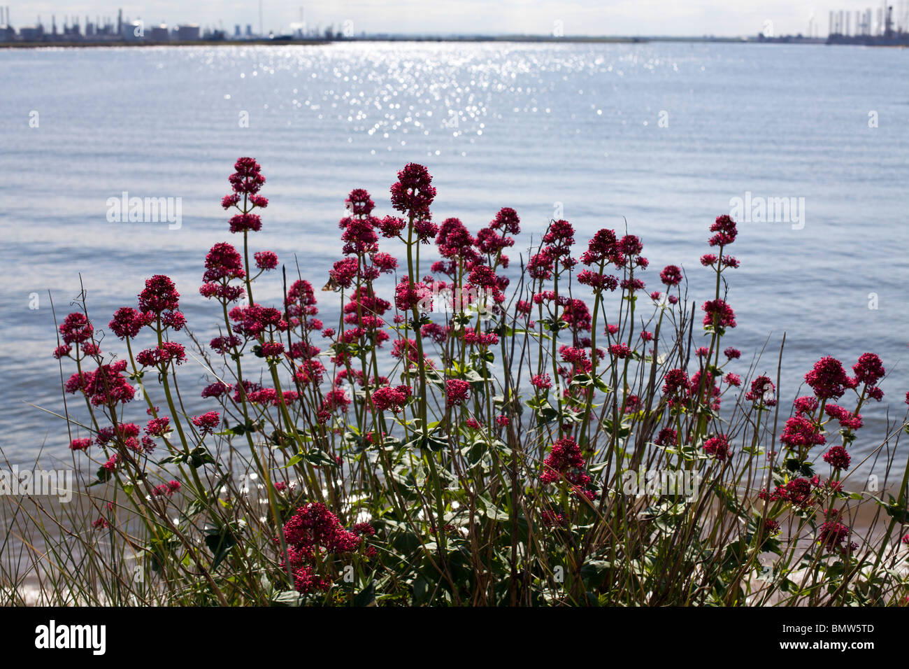 Tees estuary hi-res stock photography and images - Alamy