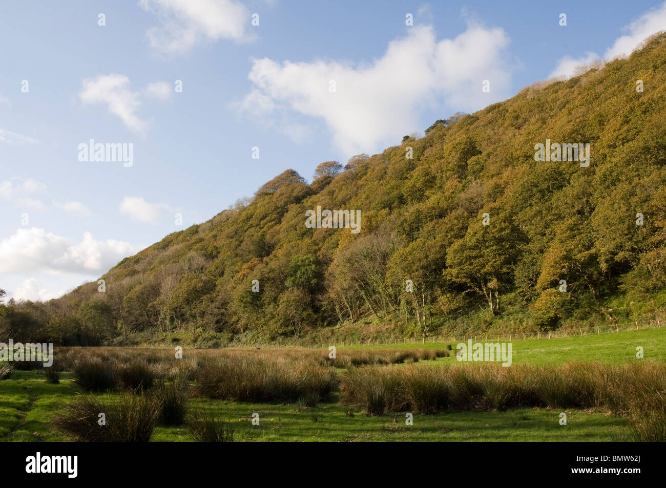Autumn, Gawun Valley, Pembrokeshire Coast National Park, Wales, UK ...