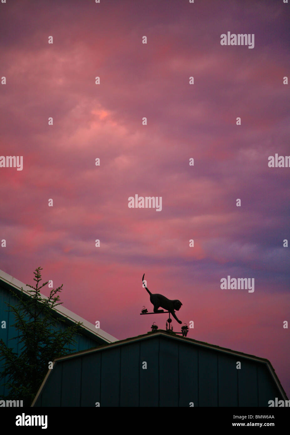 Weathervane weathervanes hi-res stock photography and images - Alamy