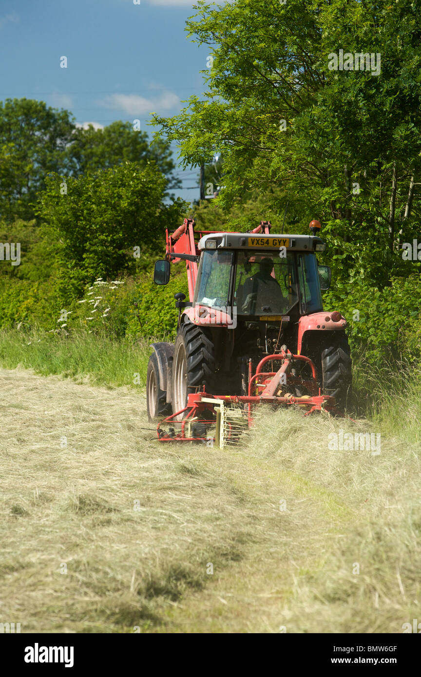 Rowing up hay hi-res stock photography and images - Alamy