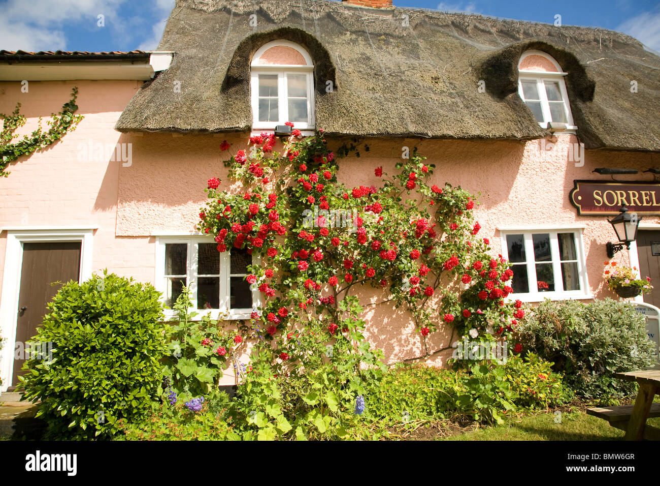 Country cottage roses hi-res stock photography and images - Alamy