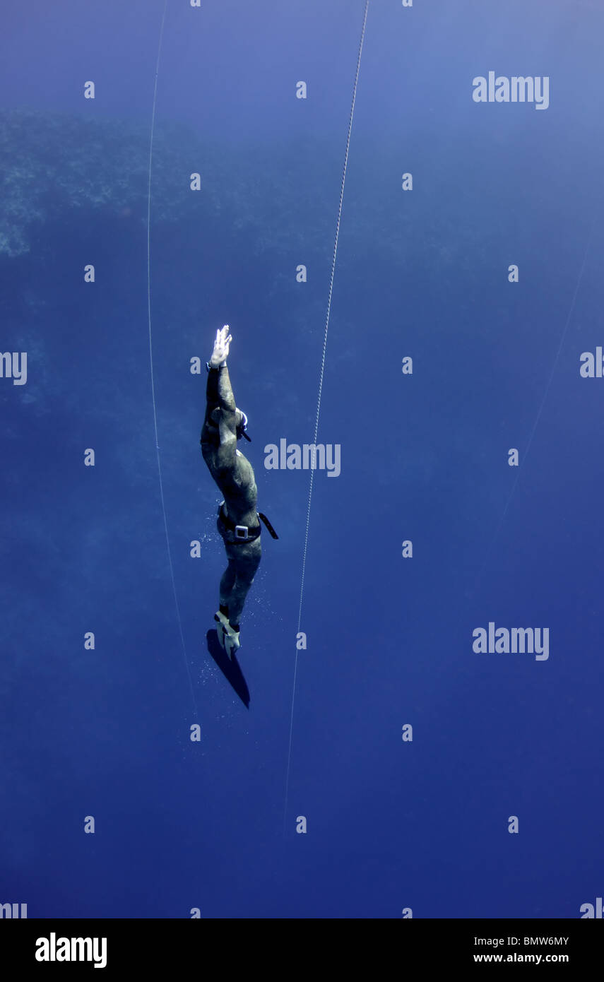 Freediver returns from the deep dive in Blue Hole Stock Photo - Alamy