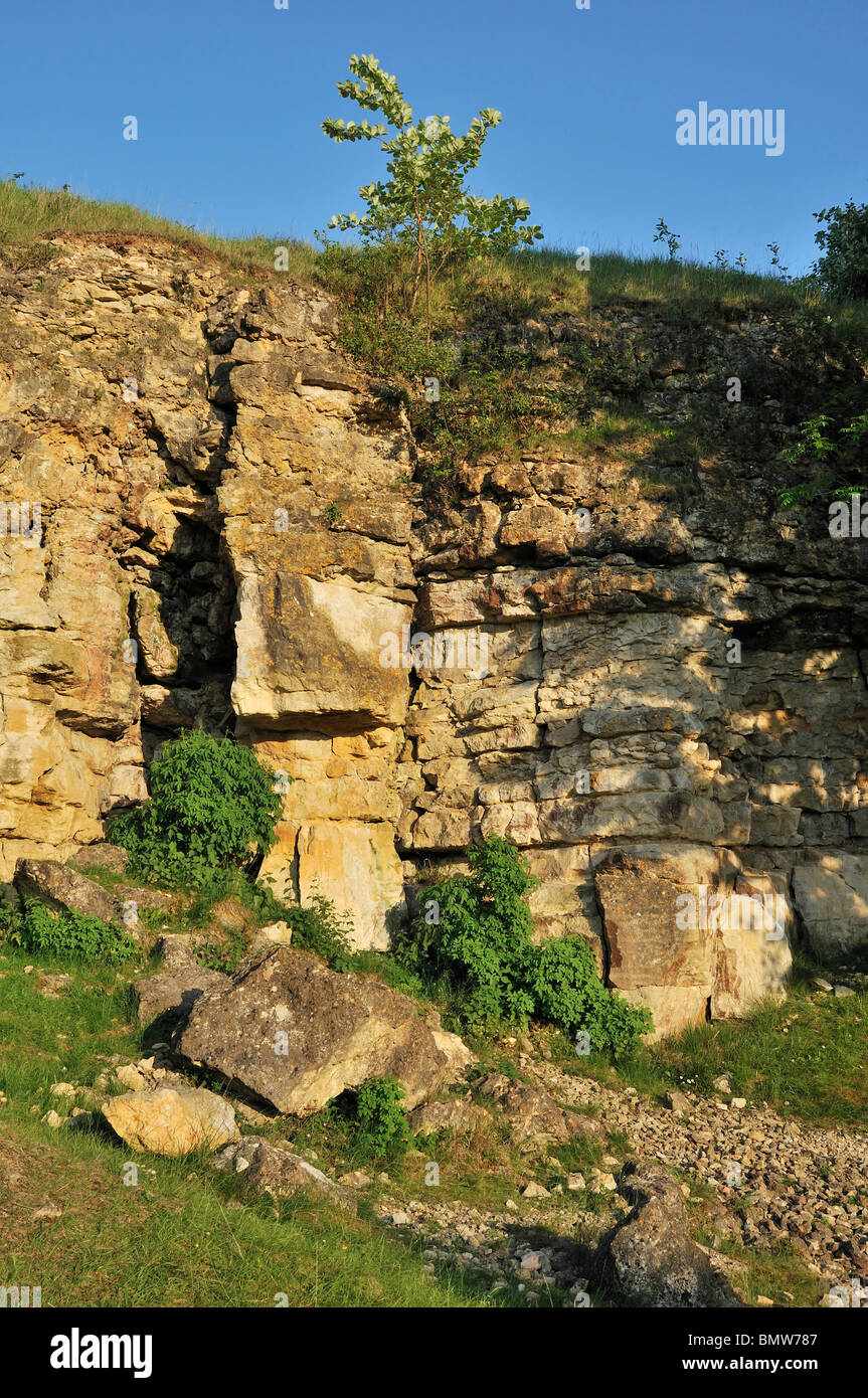 Disused Cotswold Limestone Quarry on Selsley Common, Stroud Stock Photo ...