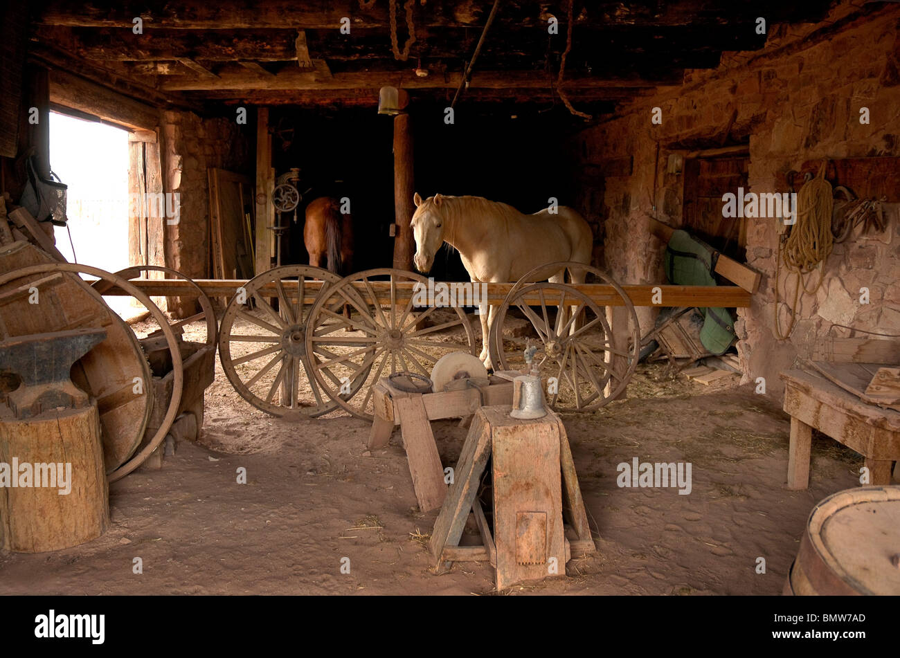 Inside horse stable hi-res stock photography and images - Alamy