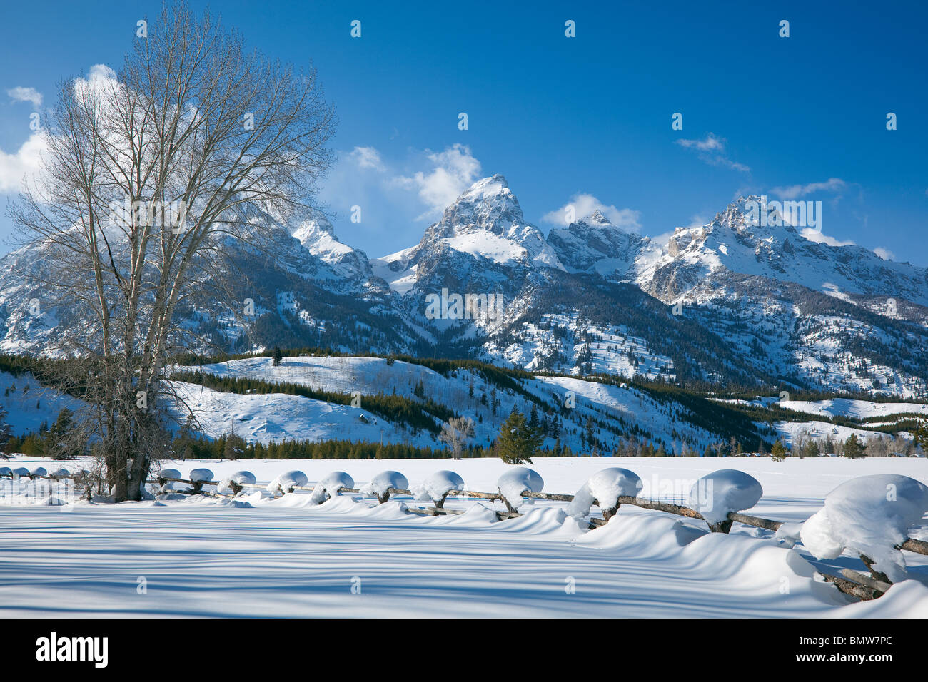 Grand Teton National Park, WY Snow capped fence line with the peaks of ...